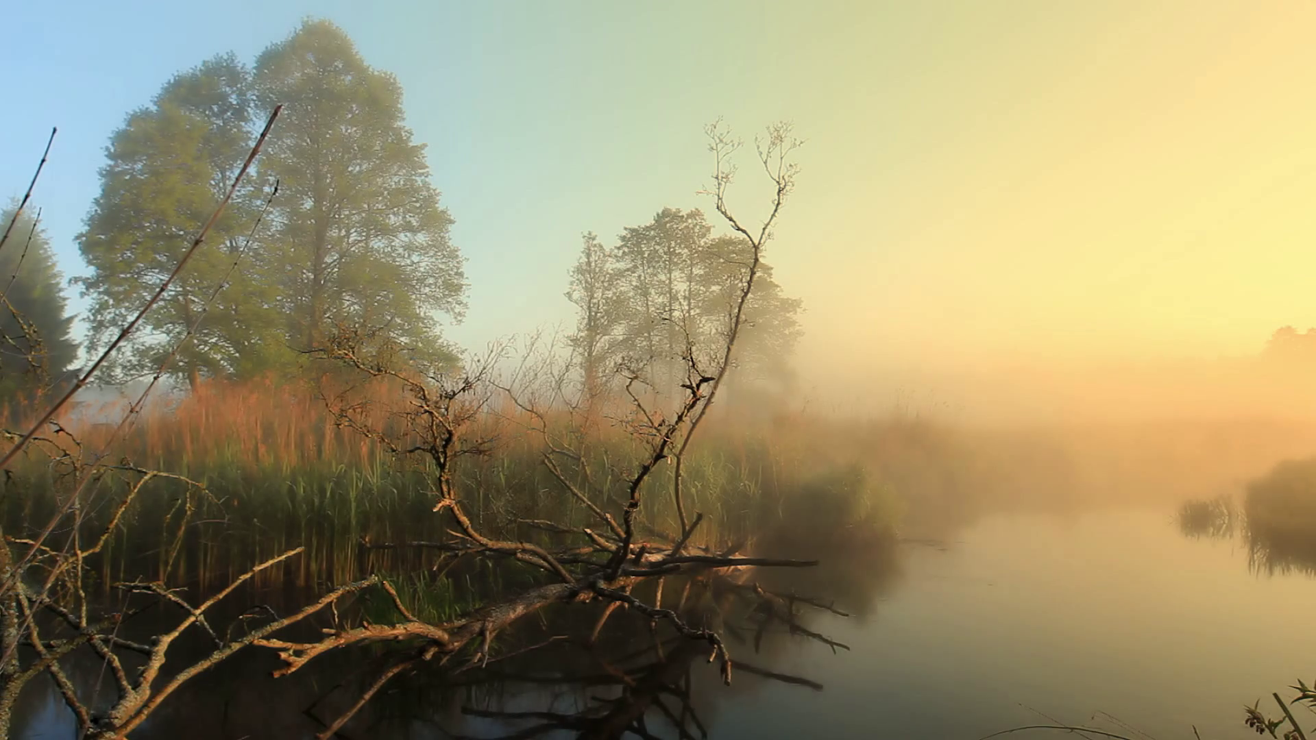 Sunrise In Forest Near River On Misty Stock Footage SBV-332962780 ...