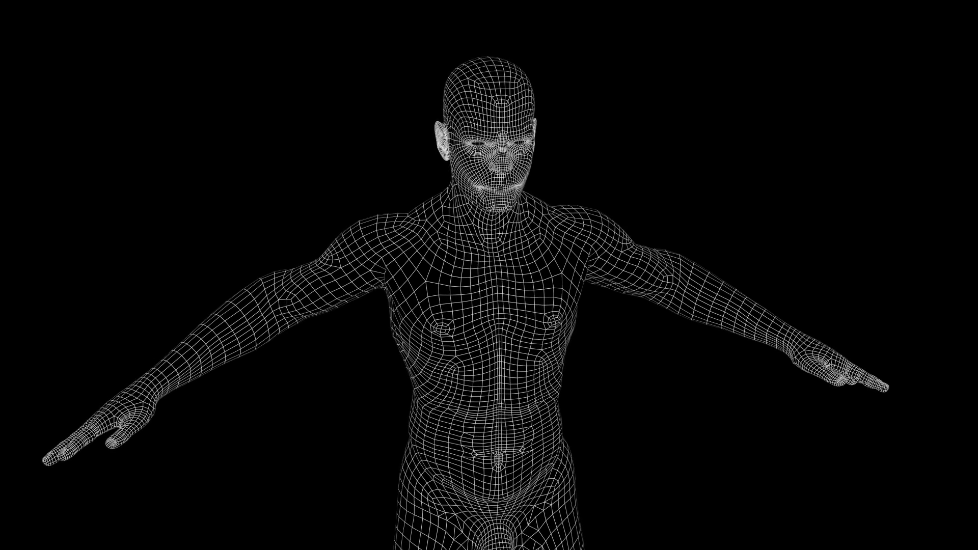 Anatomy 1004: Wireframe Anatomical Man Stock Motion Graphics SBV ...