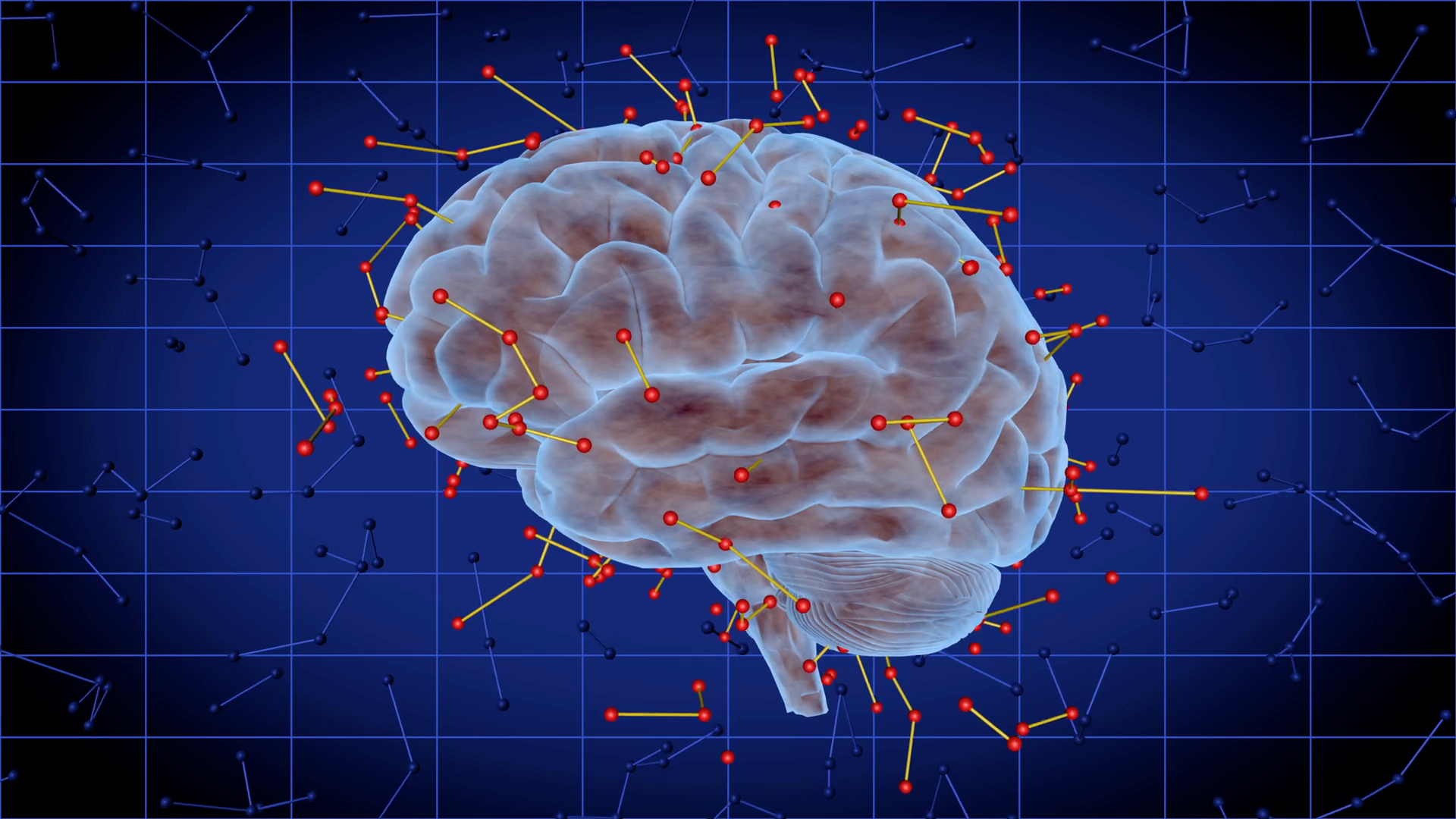 Brainstorm 107: Rotating Human Brain With Stock Motion Graphics SBV ...