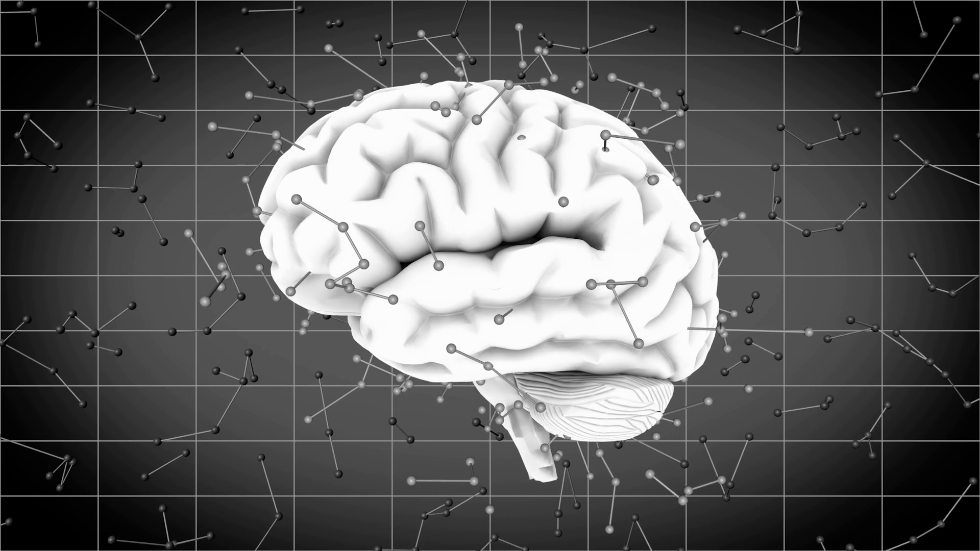 Brainstorm 108: Rotating Human Brain With Stock Motion Graphics SBV ...