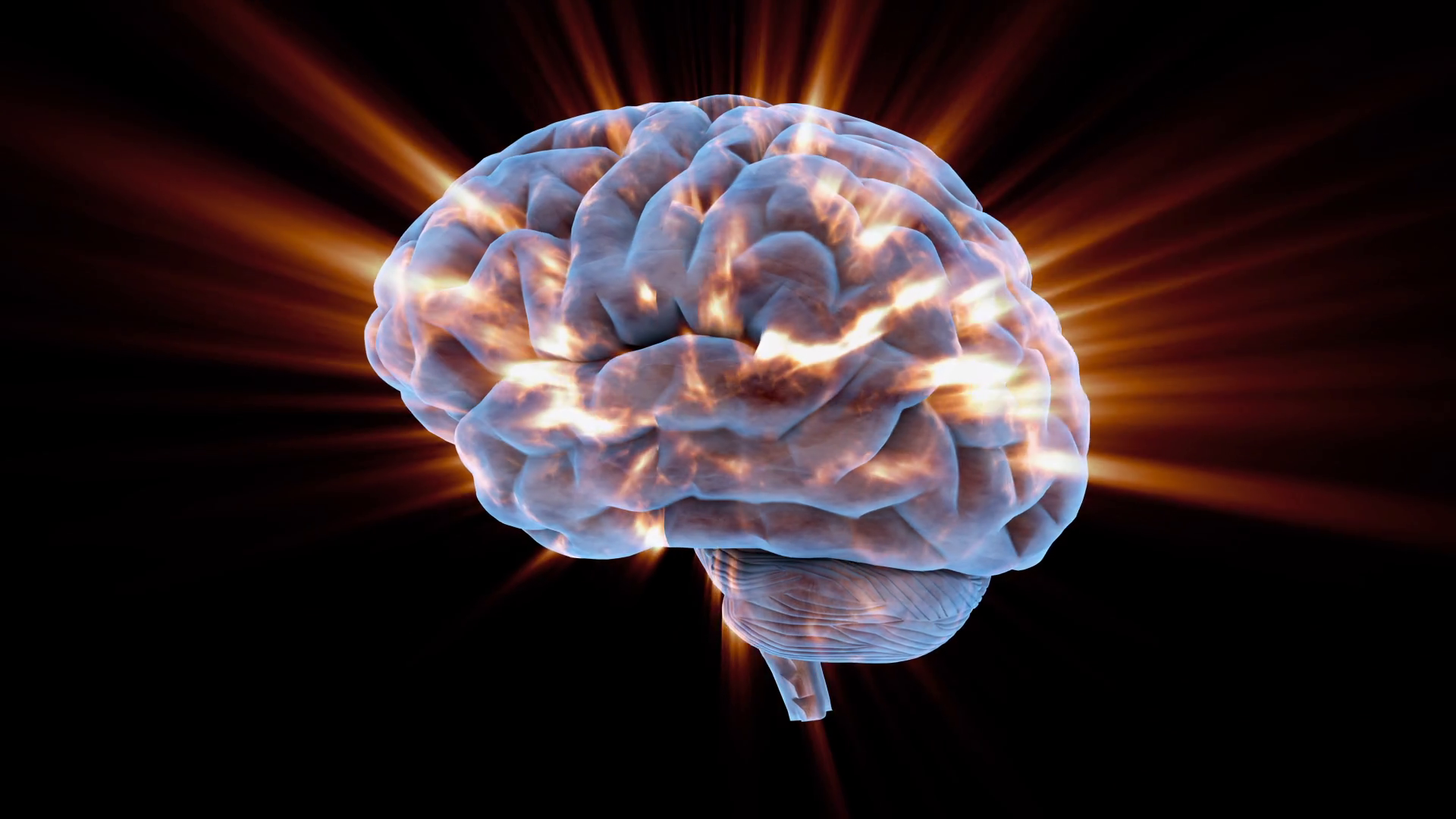 Brainstorm 110: Rotating Human Brain Stock Motion Graphics SBV ...