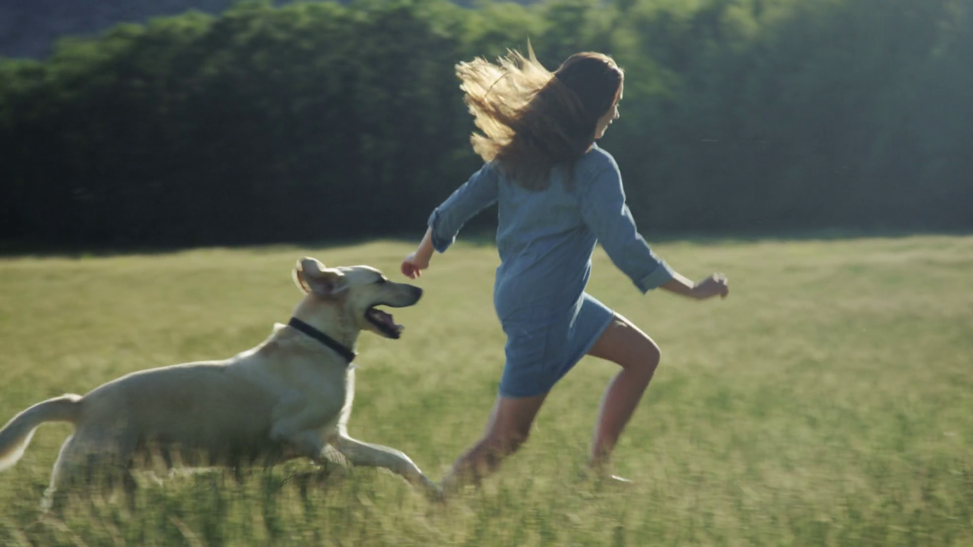 girl running through field with dog Stock Video Footage - Storyblocks