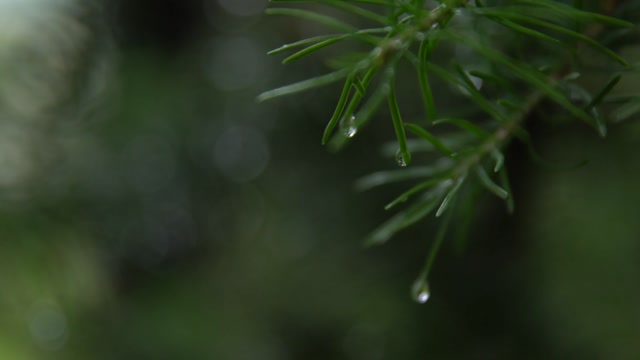 Western Rain Stock Footage: Royalty-Free Video Clips - Storyblocks