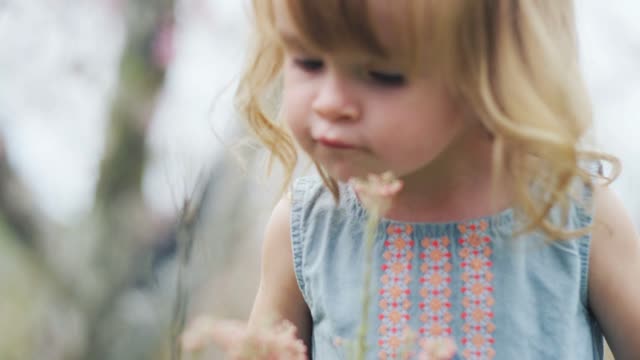Child Smelling Food Stock Footage: Royalty-Free Video Clips - Storyblocks