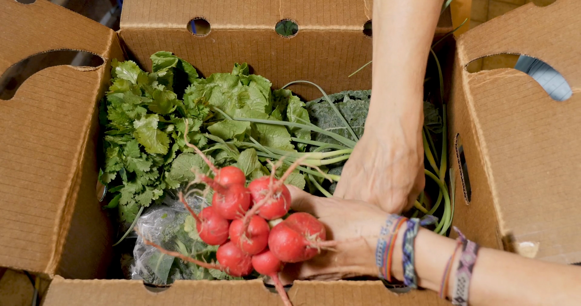 Hand unpacking a box of fresh seasonal organic vegetables from a ...