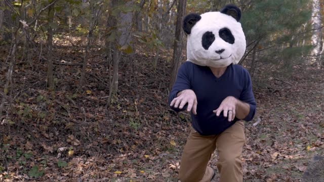 Download Funny Video Clips - Royalty Free Stock Footage