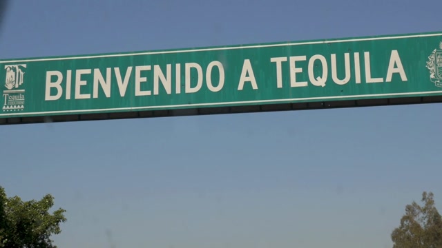 Tequila | Places and Landmarks stock footage - Storyblocks