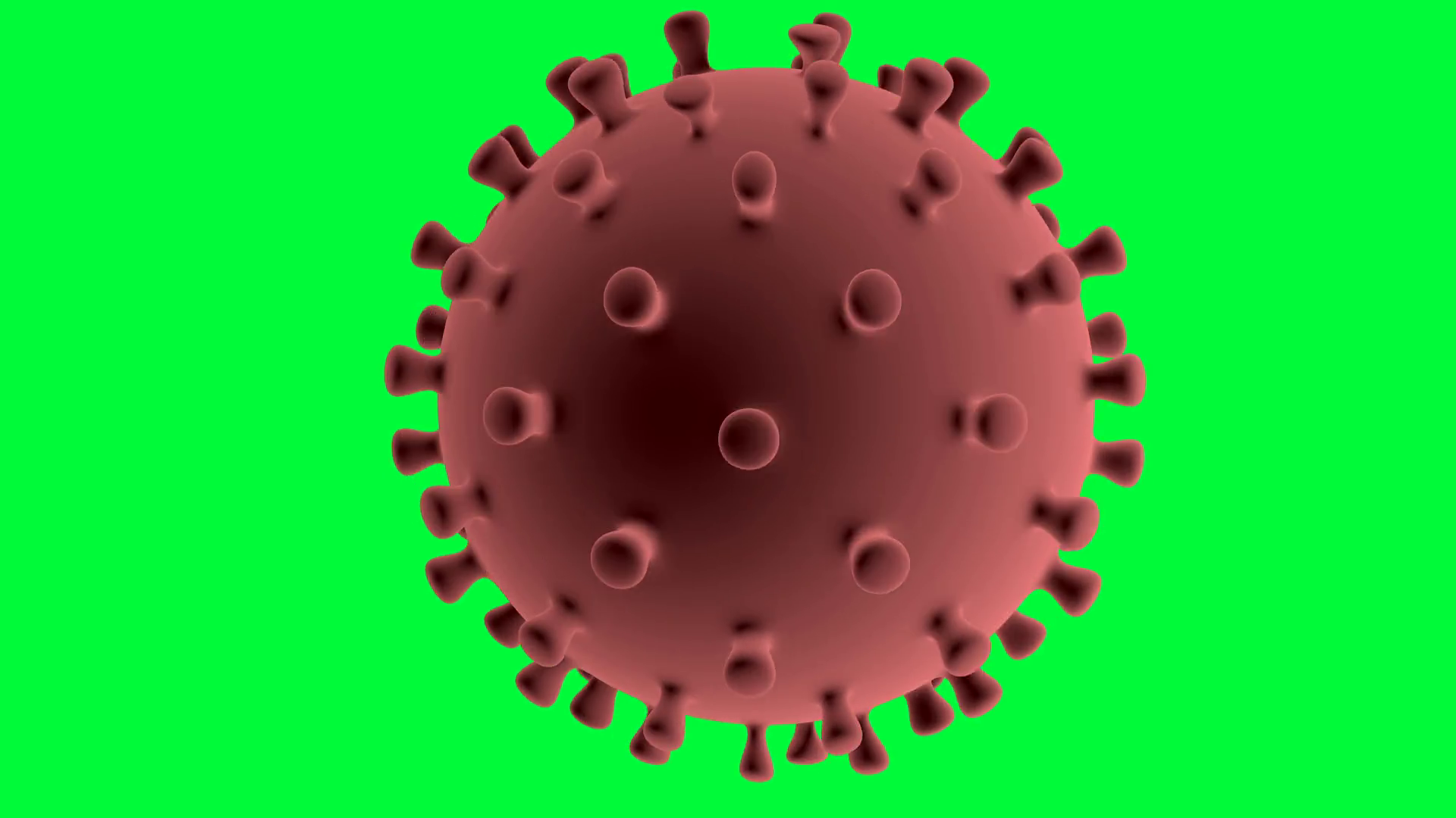 Corona Virus 3d Model Animation Rotation On Stock Motion Graphics SBV ...