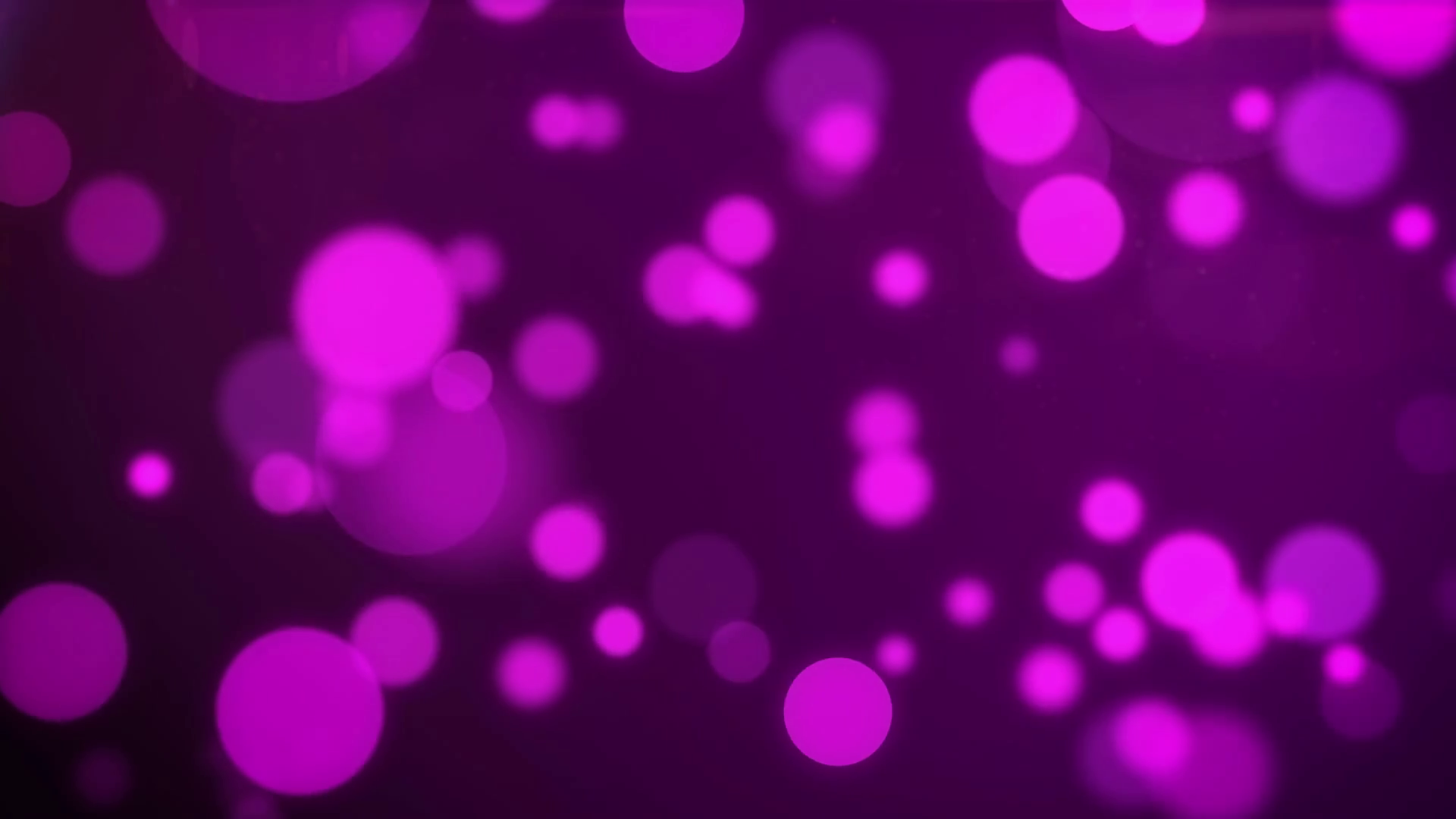 Purple Flickering Particles Loop Background Stock Motion Graphics SBV ...