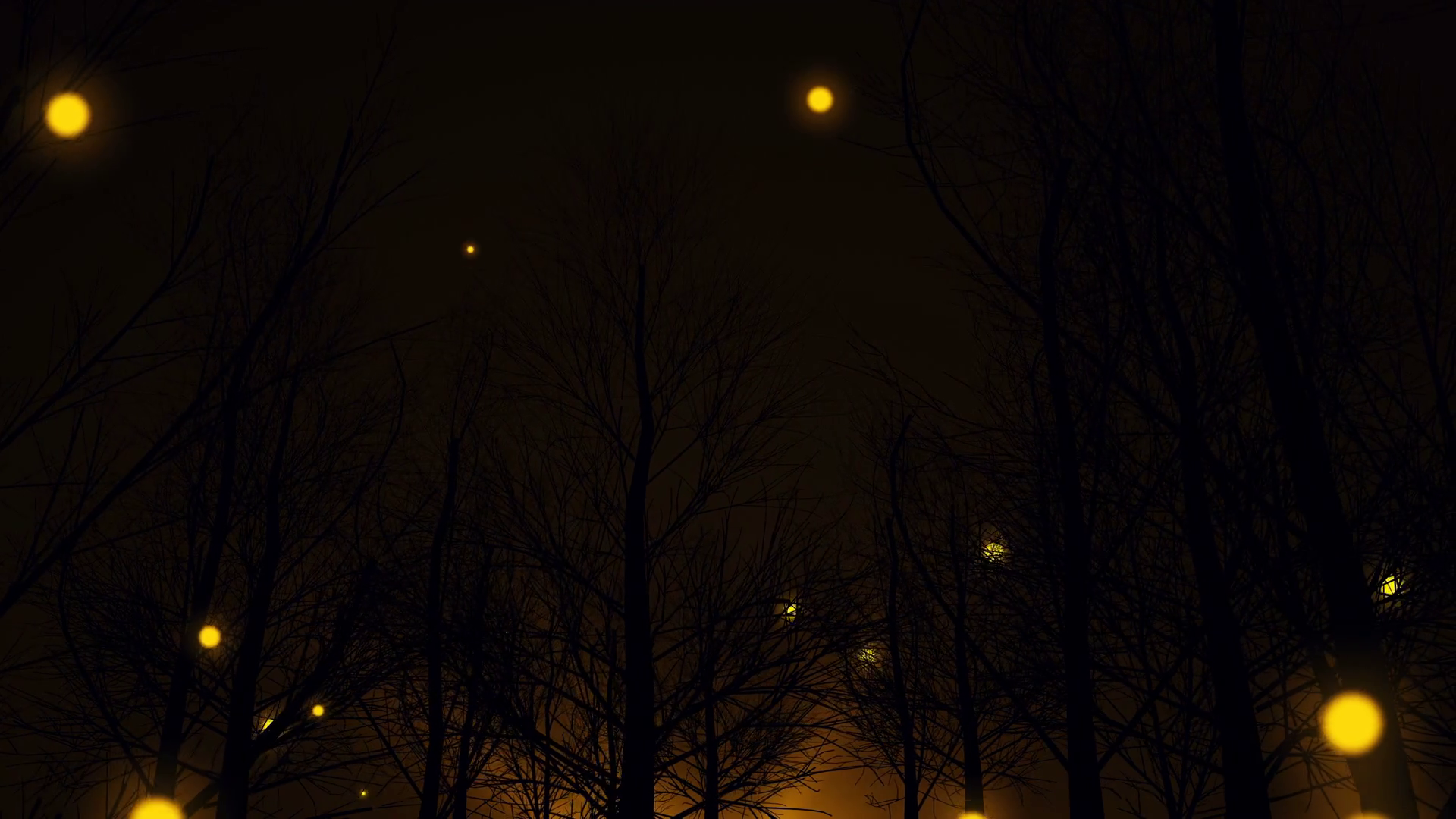 Magic Yellow Lights Fly Up To Sky Among Dark Stock Motion Graphics SBV ...