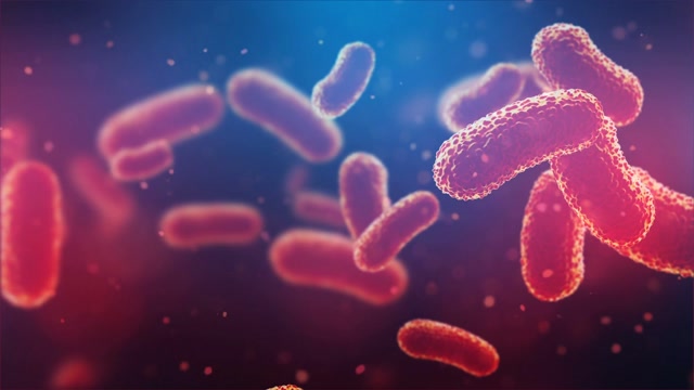 Bacteria Stock Footage: Royalty-Free Video Clips - Storyblocks
