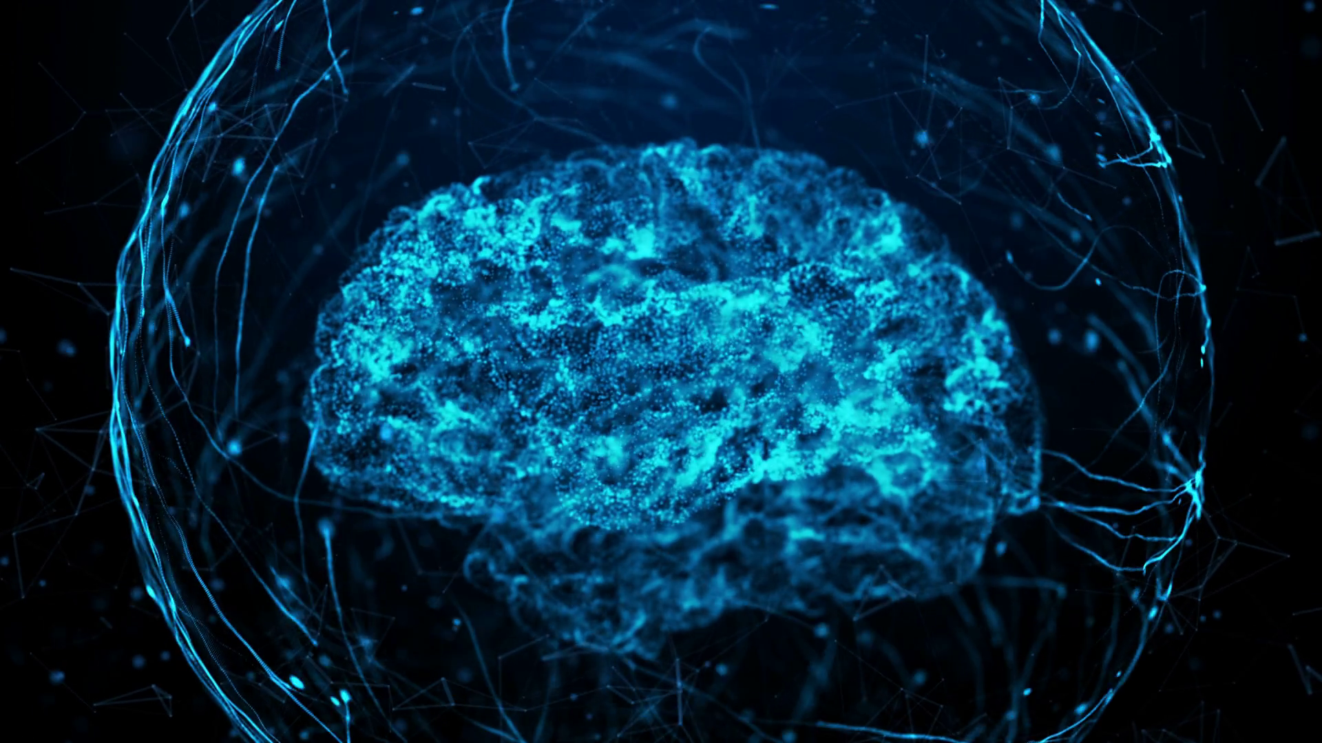 3D footage of human brain in bule digital background. oncept of brain ...