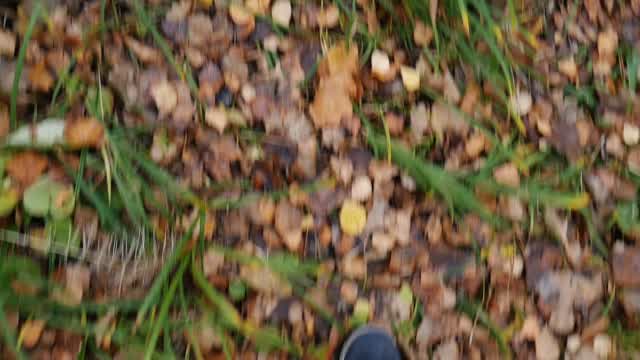 Ground Shake Stock Footage: Royalty-Free Video Clips - Storyblocks