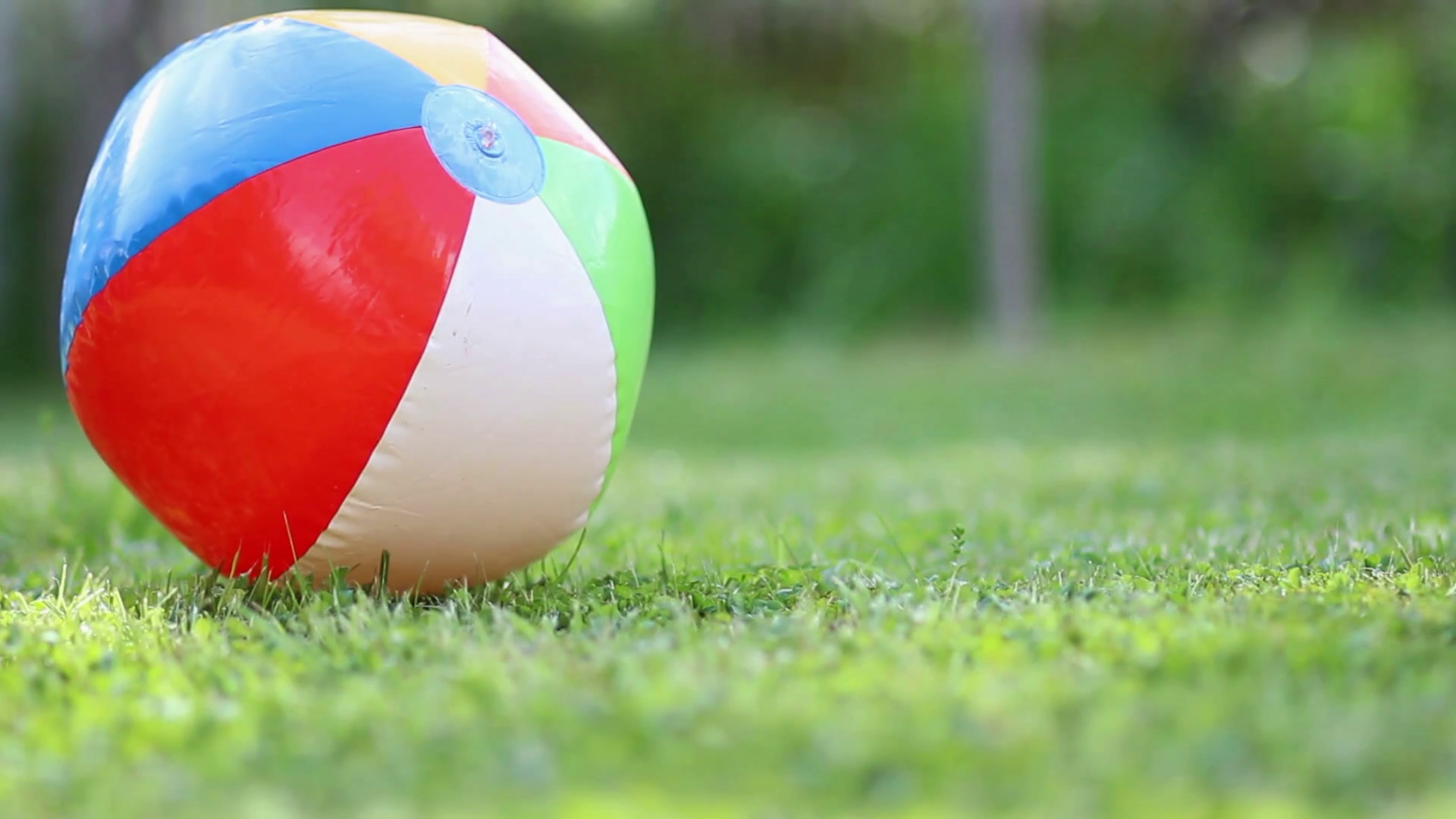Footage Of Beach Ball Lying On Grass Field Stock Footage SBV-305703193 ...