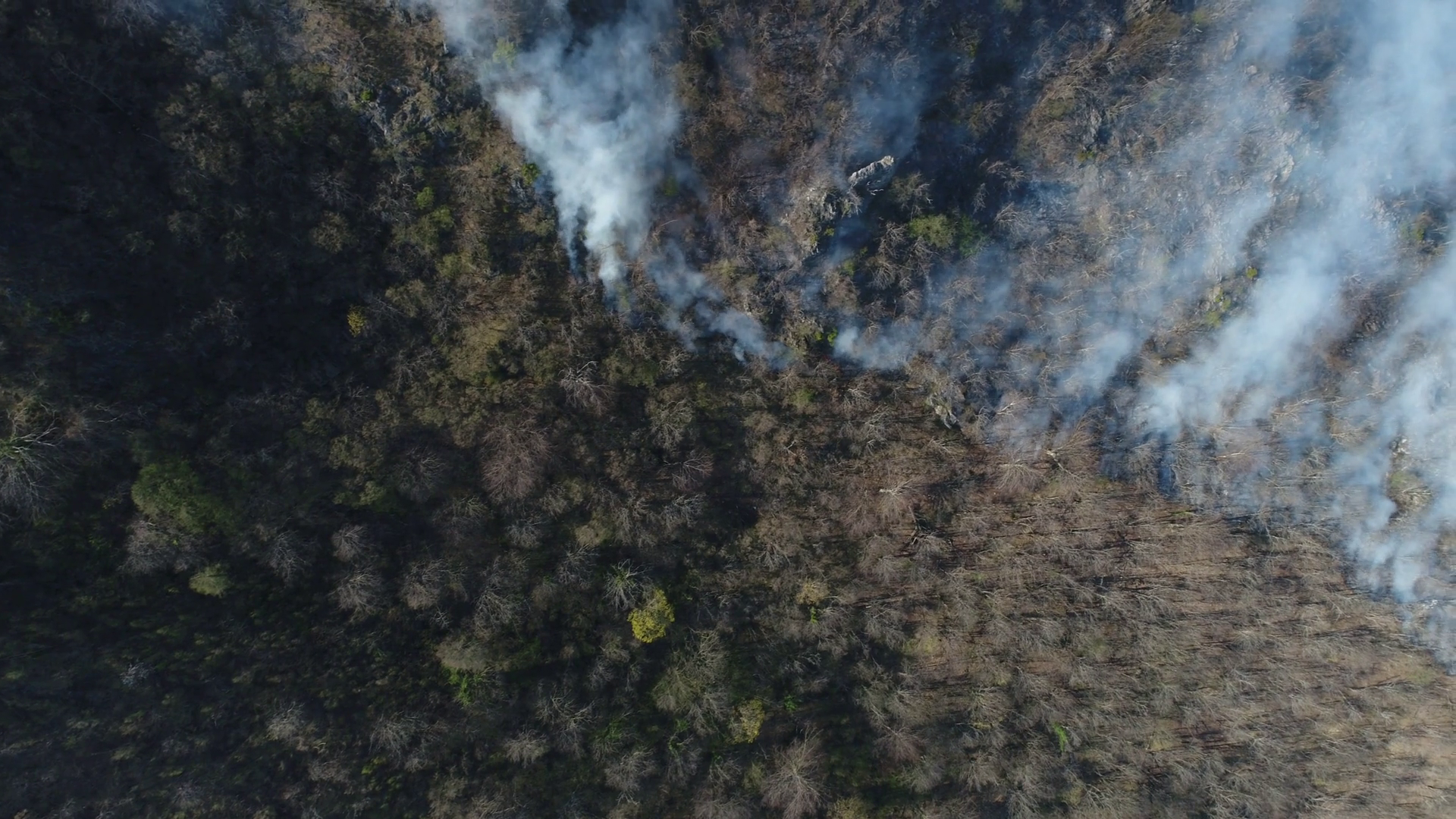 Aerial Footage Fire Is Smoldering In Woods Stock Footage SBV-314010043 ...