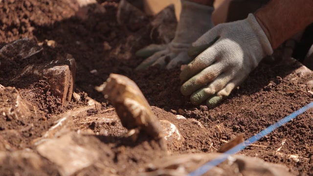 Digging Up Dirt Stock Footage: Royalty-Free Video Clips - Storyblocks