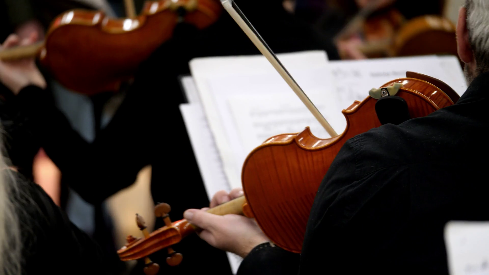 Footage Of Violin Players Playing On Stock Footage SBV-320002139 ...