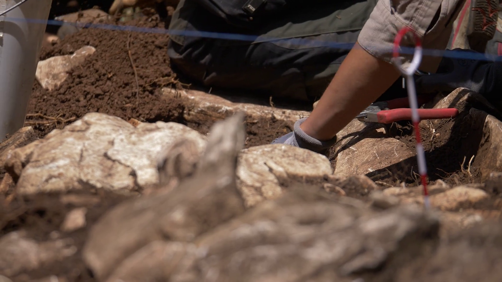 Footage Of Archeologist Digging Removing Stock Footage SBV-338112783 ...