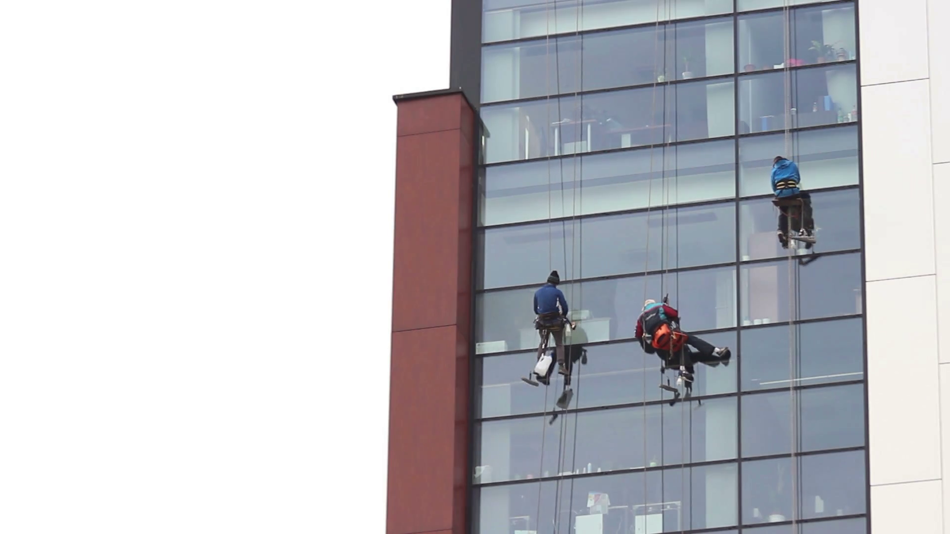 Windows Washers Cleaning Office Windows At Stock Footage SBV-303135828 ...