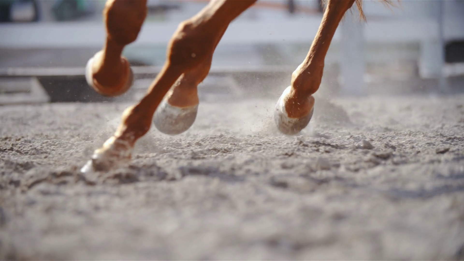 Horse Hooves Run Through Sand In Slow Motion Stock Footage SBV ...