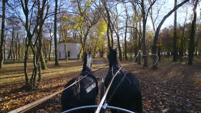 Romantic Ride Stock Footage: Royalty-Free Video Clips - Storyblocks