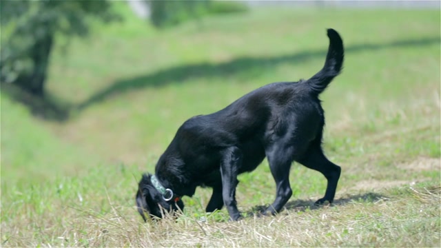 Stock Footage: Royalty-Free Video Clips - Page 6 - Storyblocks