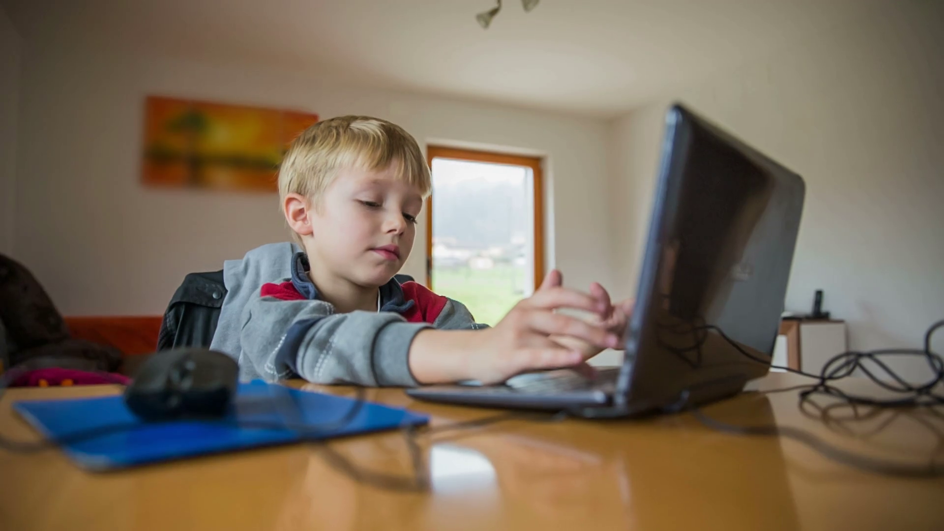 Young Child Typing On Laptop Personal Stock Footage SBV-338965469 ...