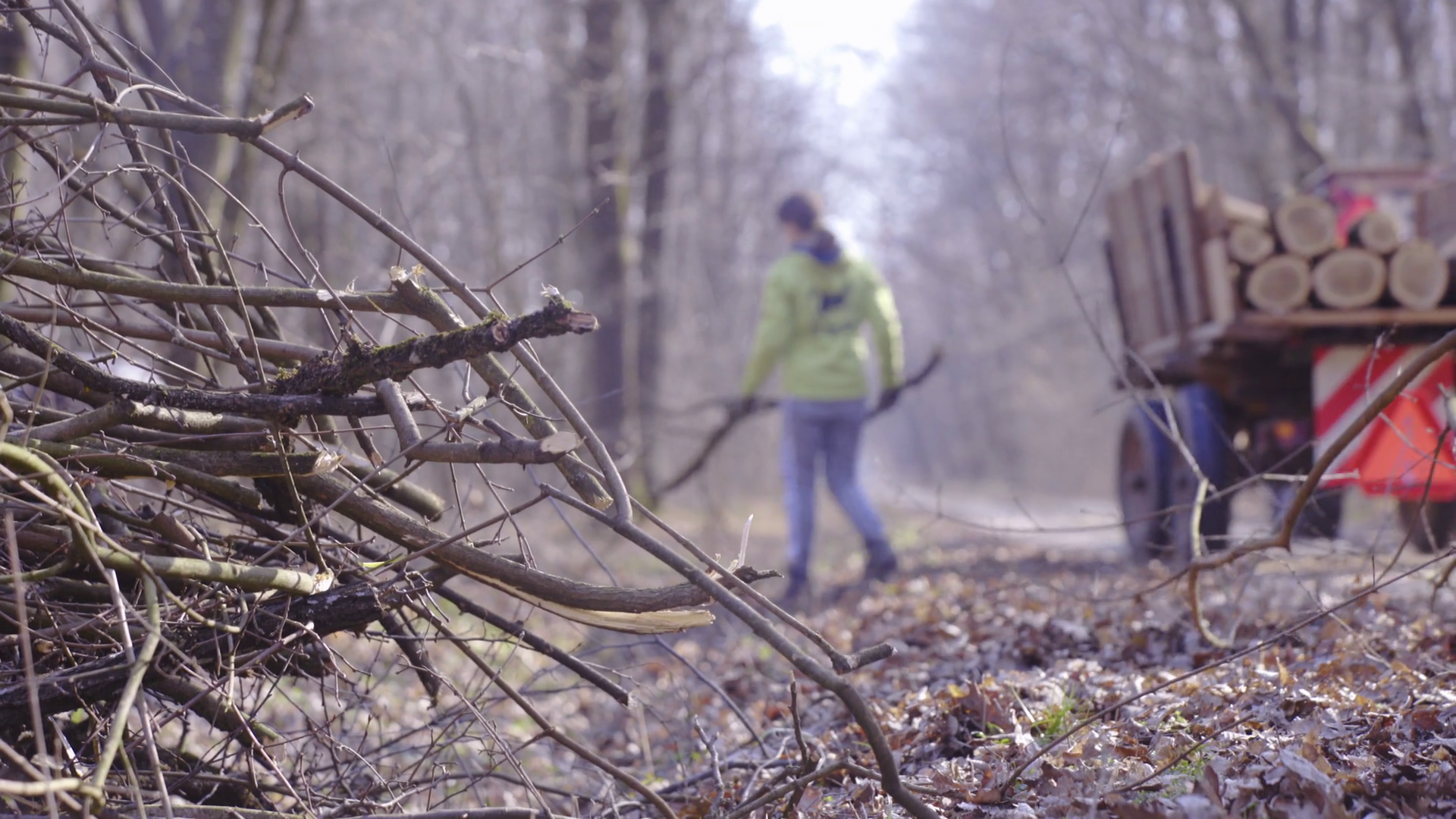Group Of People Pulling Tree Branches To Stock Footage SBV-352835185 ...