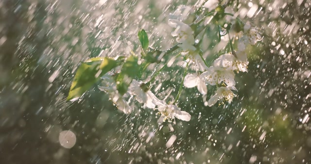 Rain Period Stock Footage: Royalty-Free Video Clips - Storyblocks