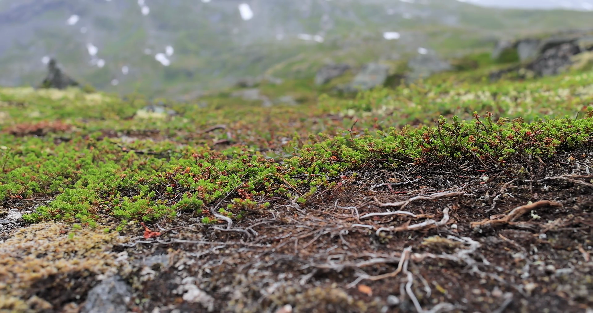 Arctic Tundra Beautiful Nature Norway Stock Footage SBV-351757898 ...