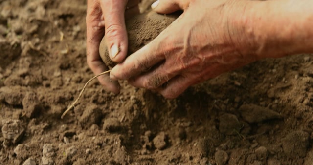 Hand Farming Stock Footage: Royalty-Free Video Clips - Storyblocks