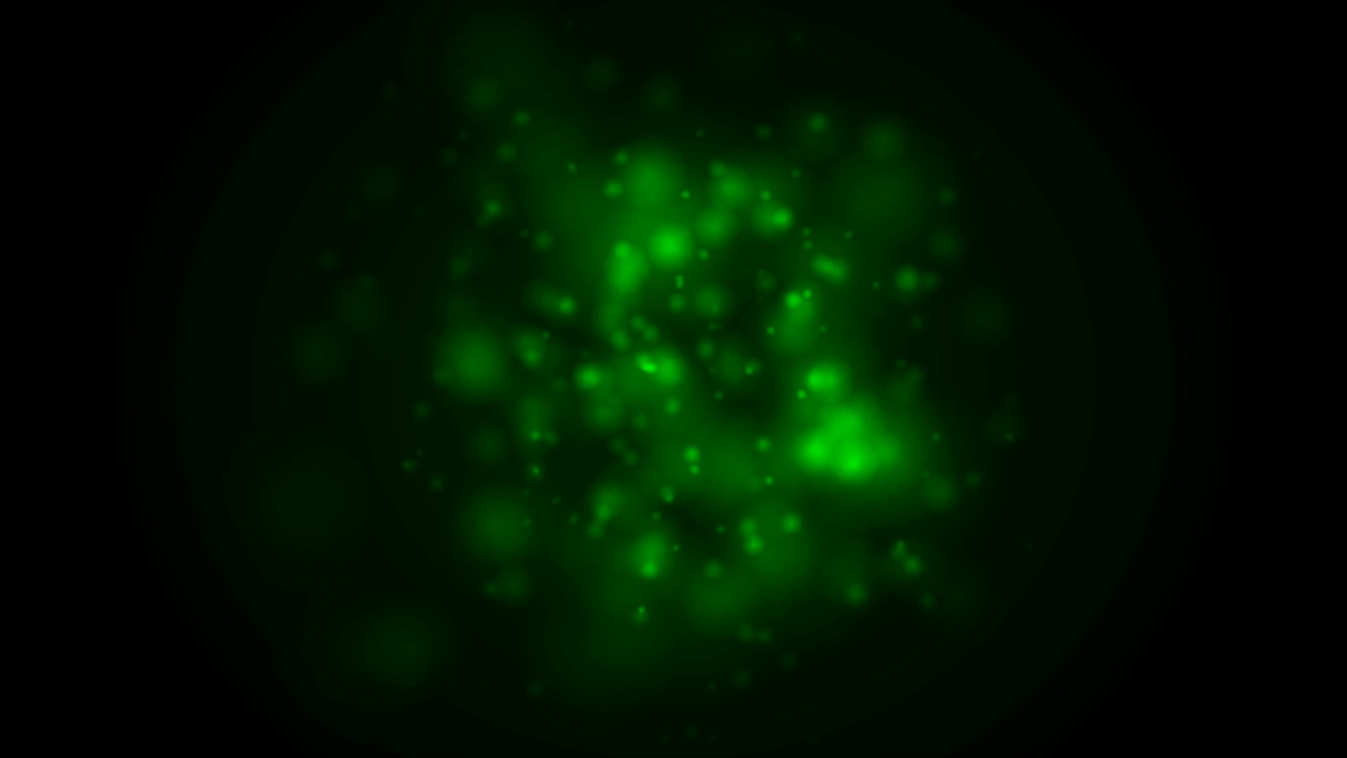 Green Glowing Bokeh Lights Abstract Stock Motion Graphics SBV-351796281 - Storyblocks