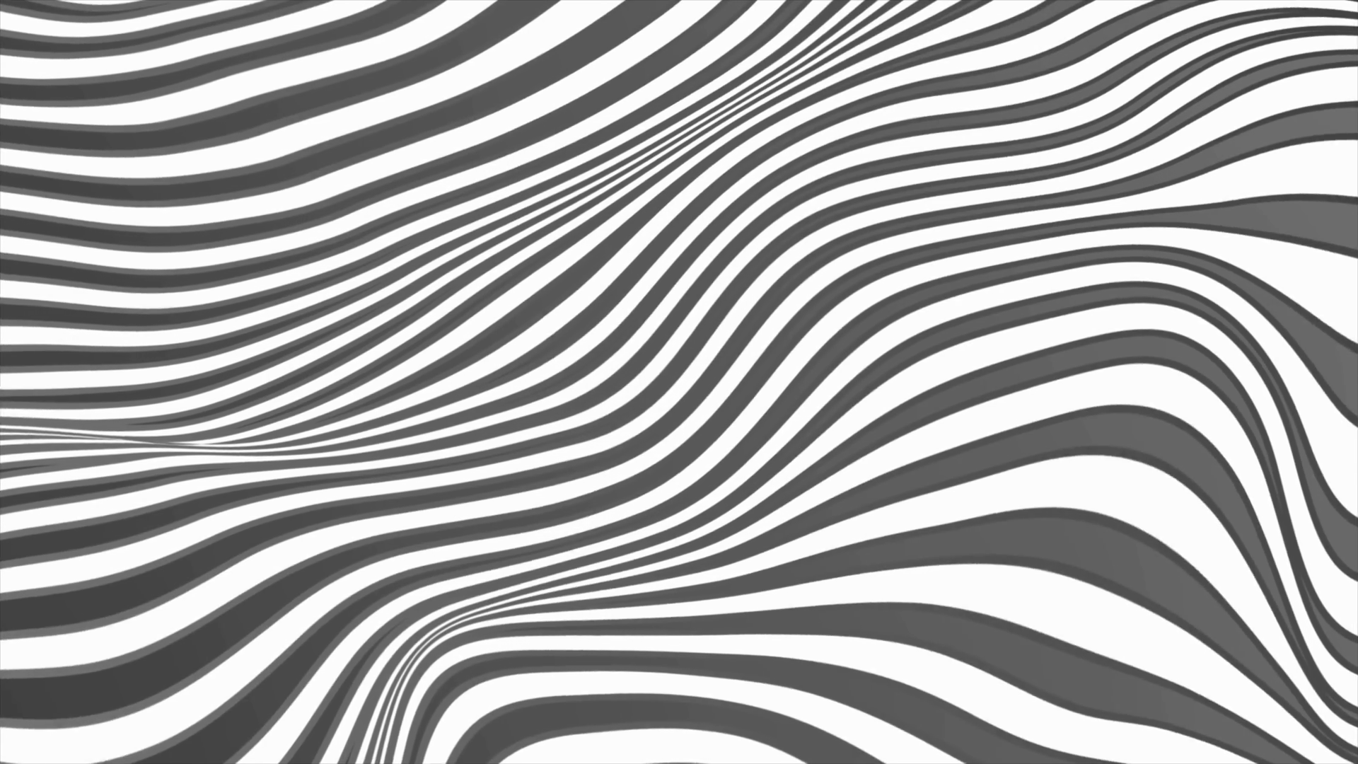 Black White Refracted Wavy Curves Abstract Stock Motion Graphics SBV ...