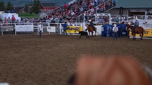 Cowboys Roping Stock Footage: Royalty-Free Video Clips - Storyblocks