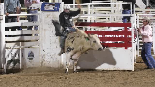 8 Seconds Bull Riding Stock Footage: Royalty-Free Video Clips - Storyblocks