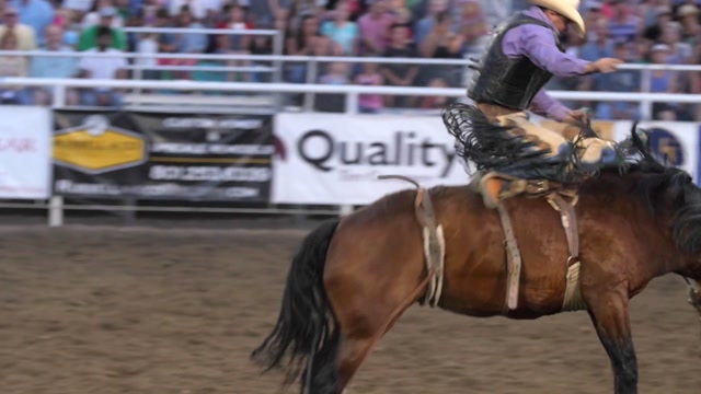 Rodeo Injury Stock Footage: Royalty-Free Video Clips - Storyblocks