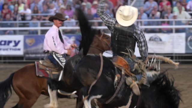 Bronco Riding At Rodeo Stock Footage: Royalty-Free Video Clips ...