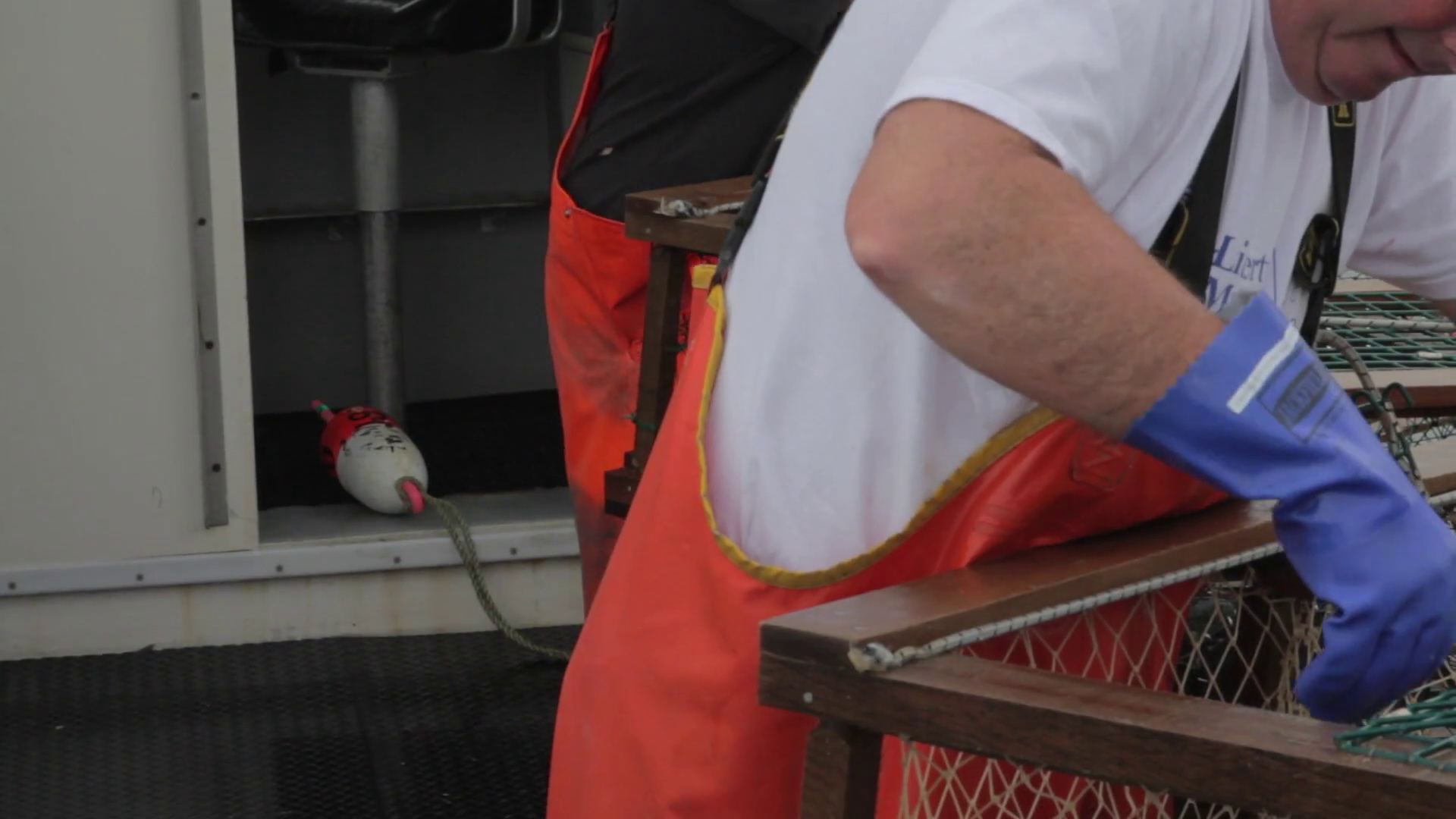 Fishermen Measuring Lobster Catch Stock Footage SBV-301034161 - Storyblocks