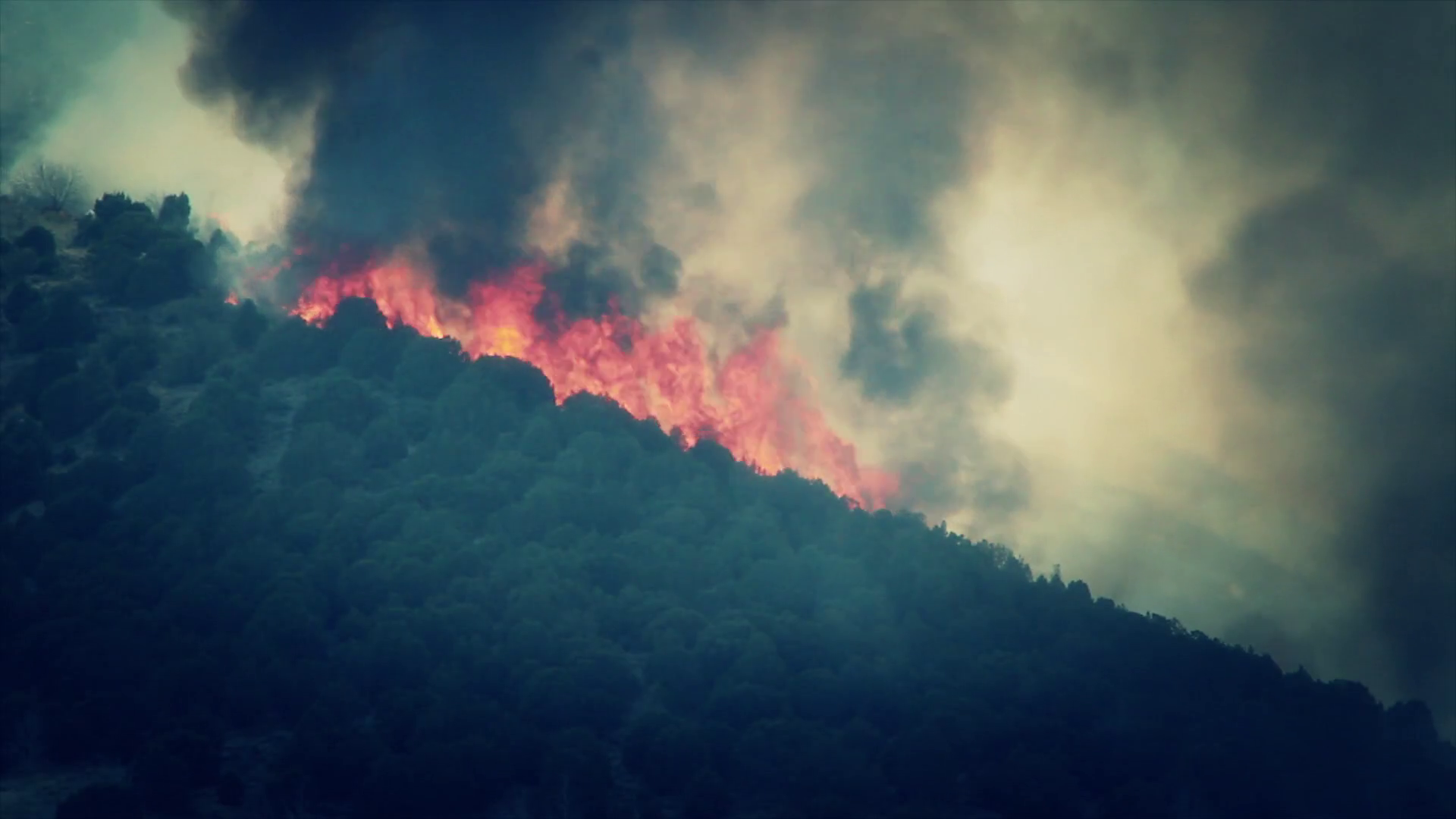 Huge Flames From Forest Fire Stock Footage SBV-301034990 - Storyblocks