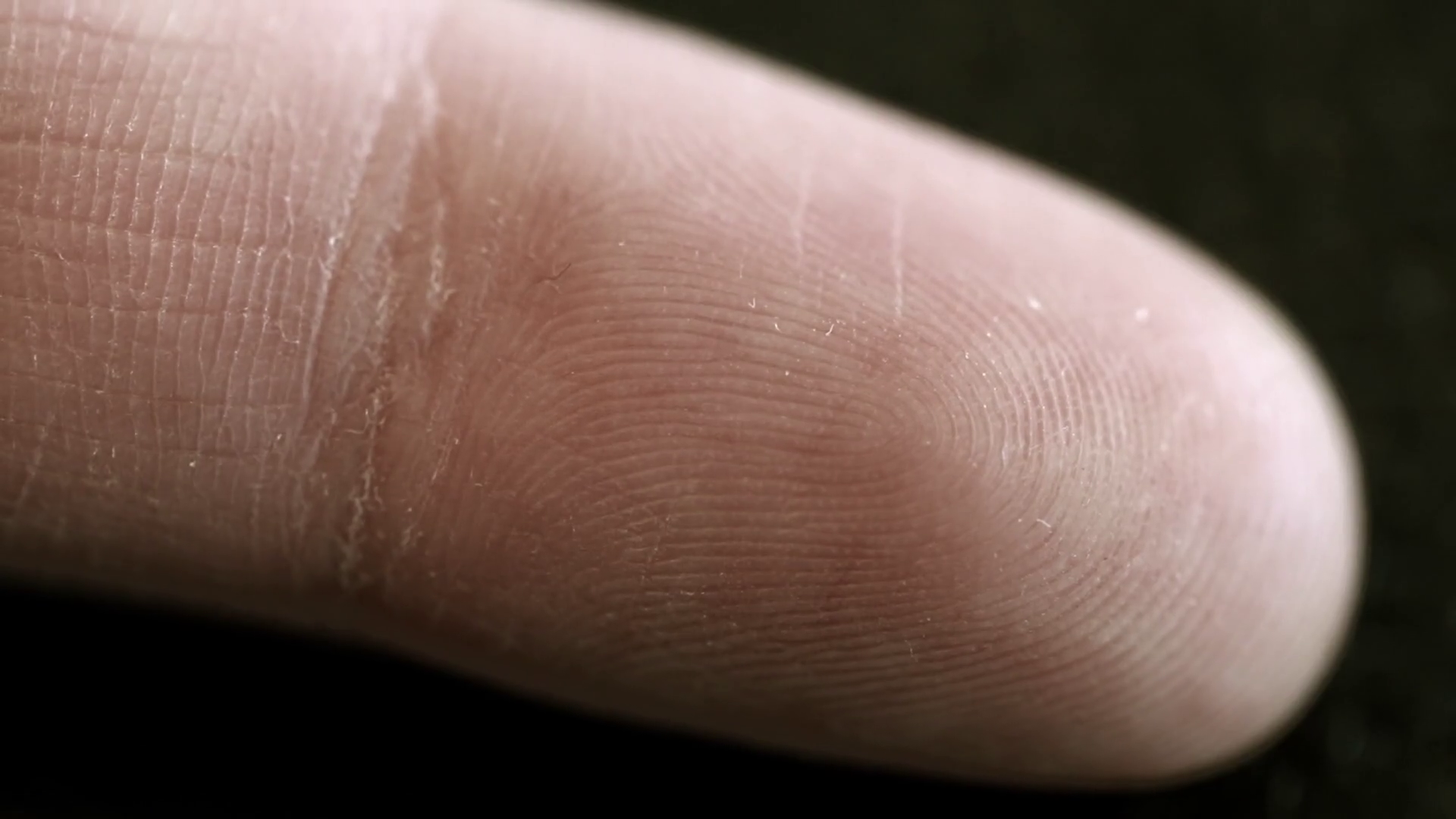 Index Finger Print Stock Footage SBV-301034555 - Storyblocks