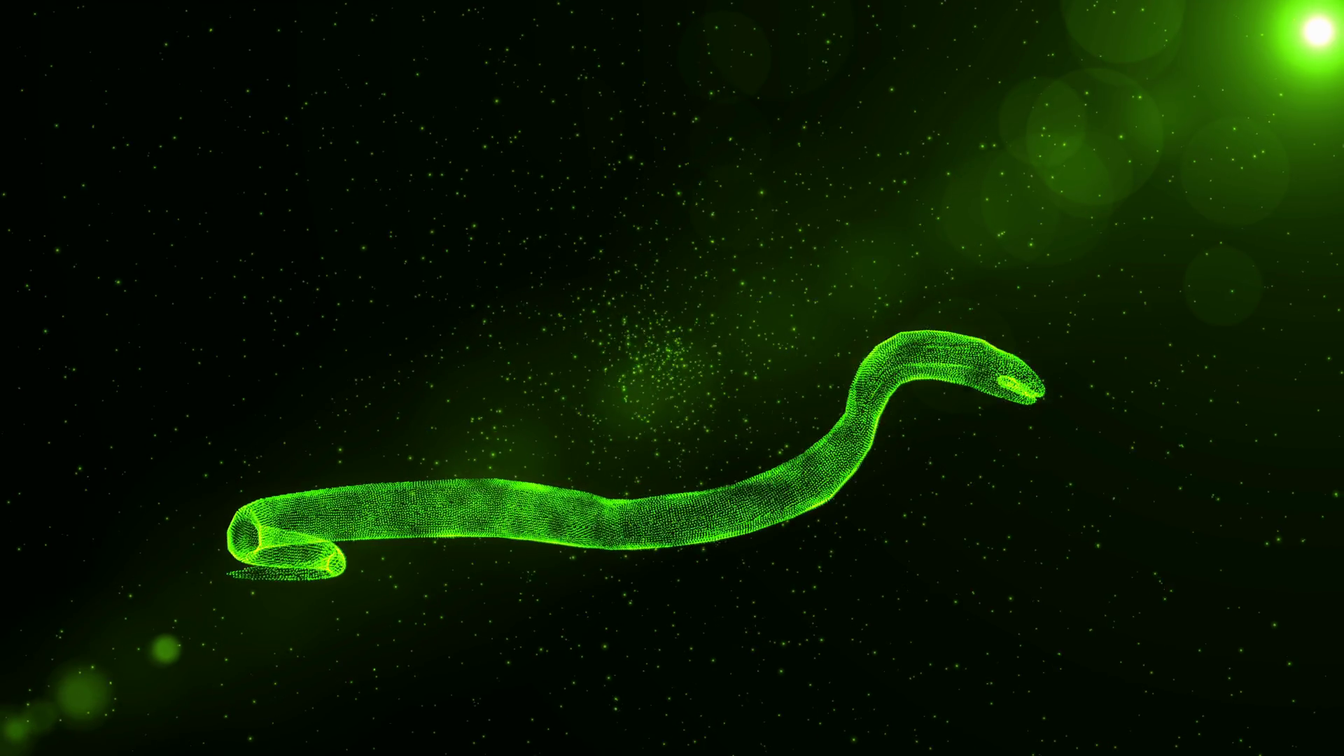 King Cobra Animated Poisonous Snake Abstract Stock Motion Graphics SBV ...