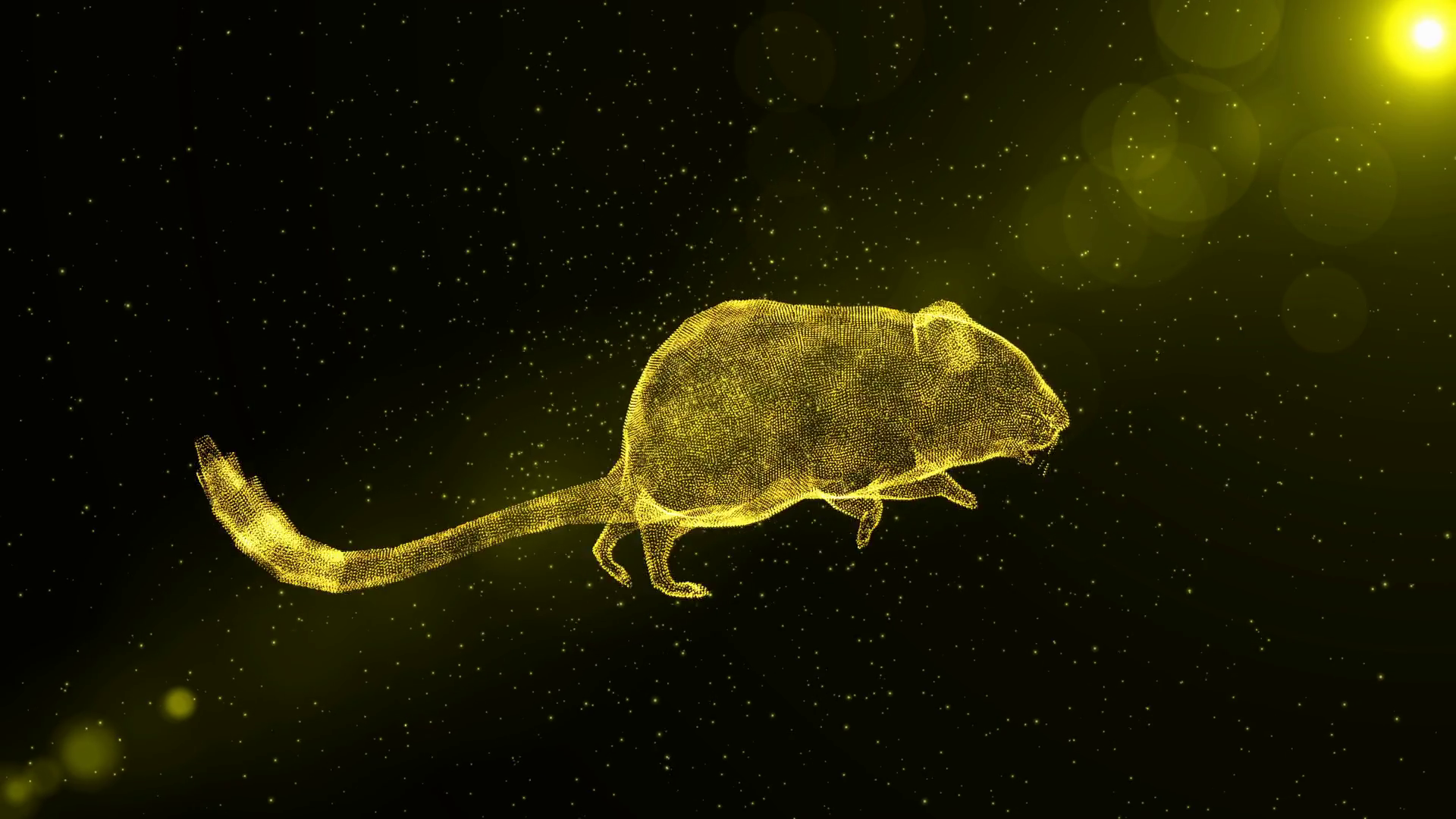 Sand Mouse Abstract Rodent Animal Running Stock Motion Graphics SBV ...