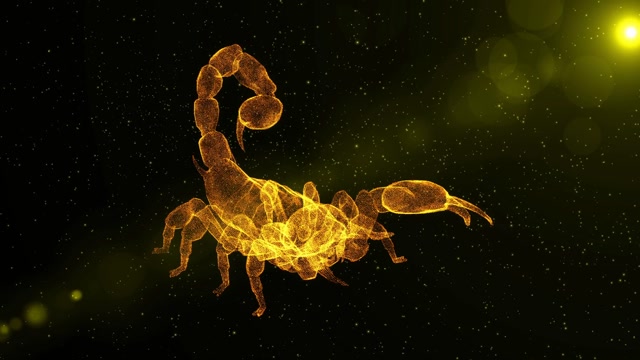 Dangerous Animal | Effects and Overlays motion backgrounds - Storyblocks