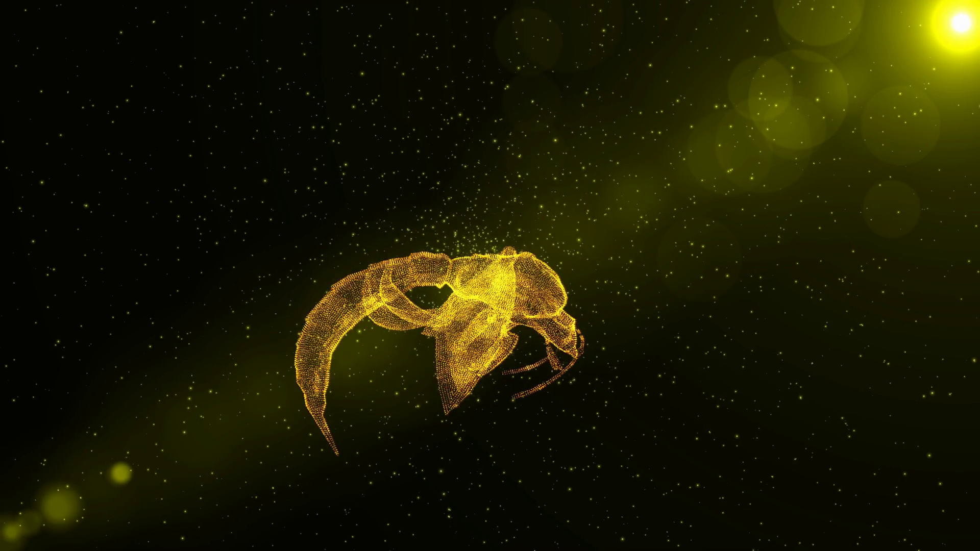 Wasp Glowing Abstract Insect Flying Through Stock Motion Graphics SBV ...