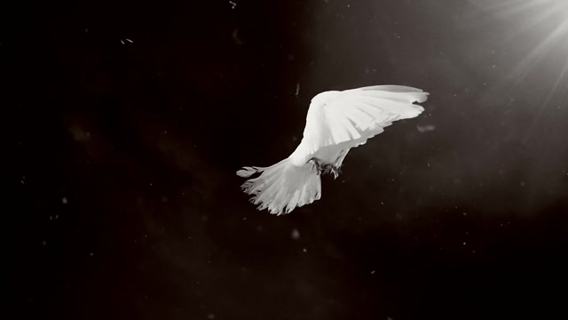 Angel Falling Down Stock Footage: Royalty-Free Video Clips - Storyblocks