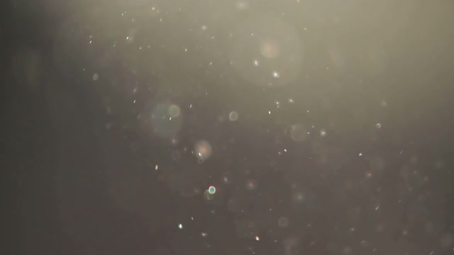 Ambient Loop Stock Footage: Royalty-Free Video Clips - Storyblocks