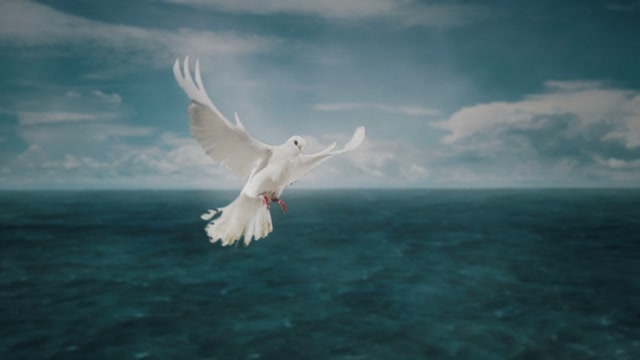 Clouds Moving | Animals stock footage - Storyblocks