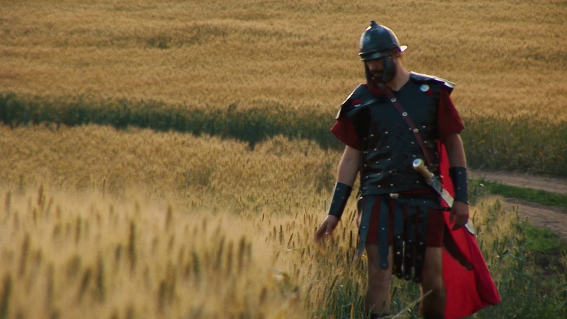 Roman Legionary Hand Running Through Ripe Stock Footage SBV-307038551 ...