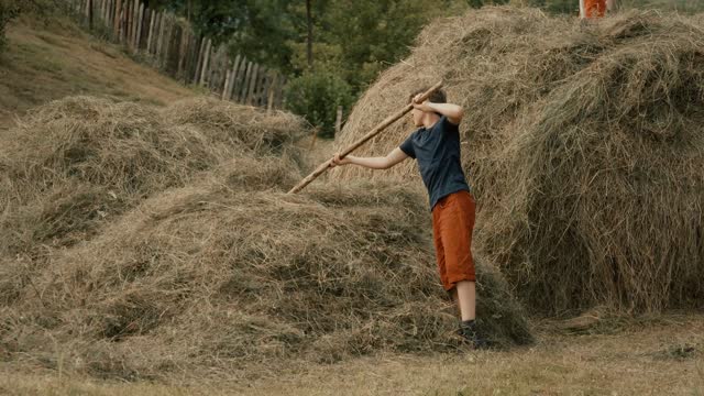 Hay Field Stock Footage: Royalty-Free Video Clips - Storyblocks