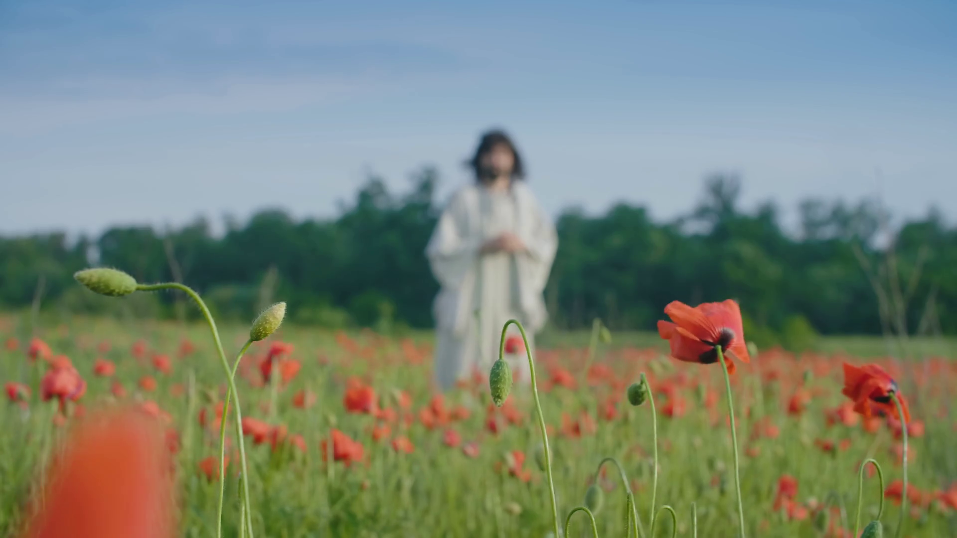 Christ Praying In Red Field Of Poppies - Stock Footage SBV-348260138 ...
